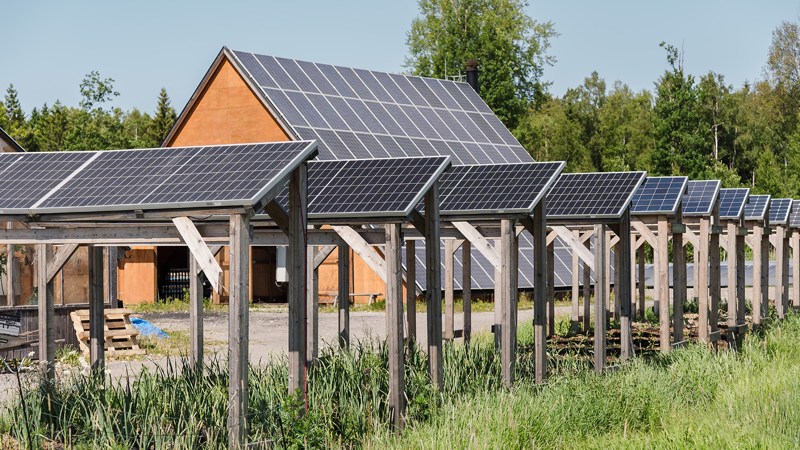 Så kan solparker bidra till biologisk mångfald - ETC El