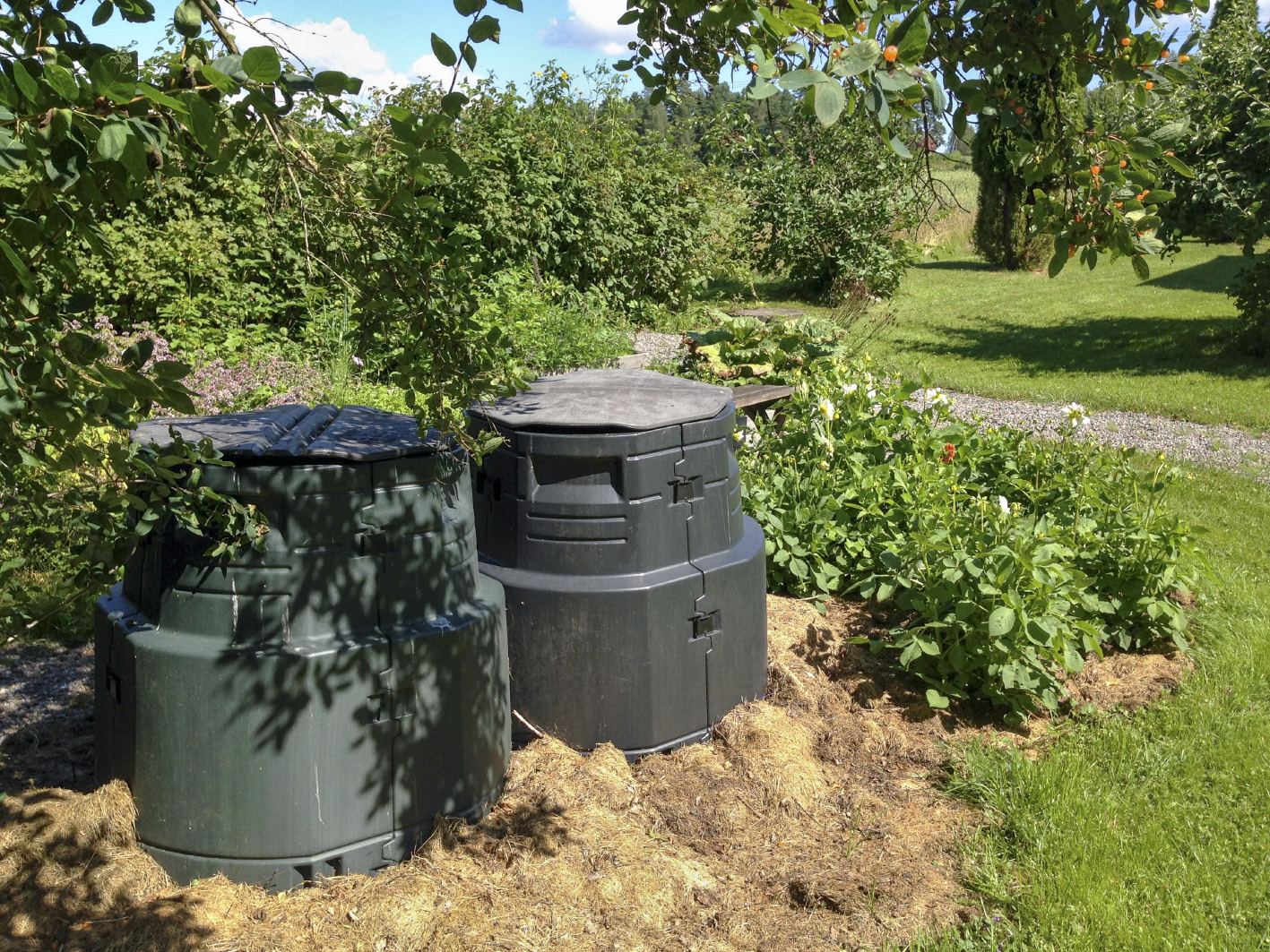 Kompostera mera! - OmställningsAkademin