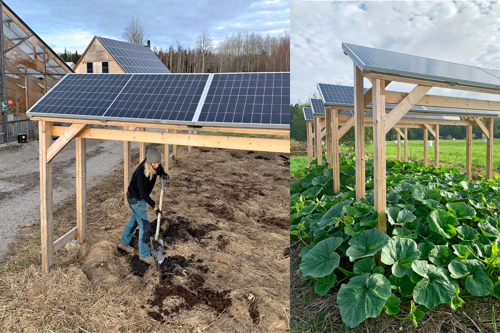 Ska vi bygga en ekoby i Väckelsång? - ETC Bygg