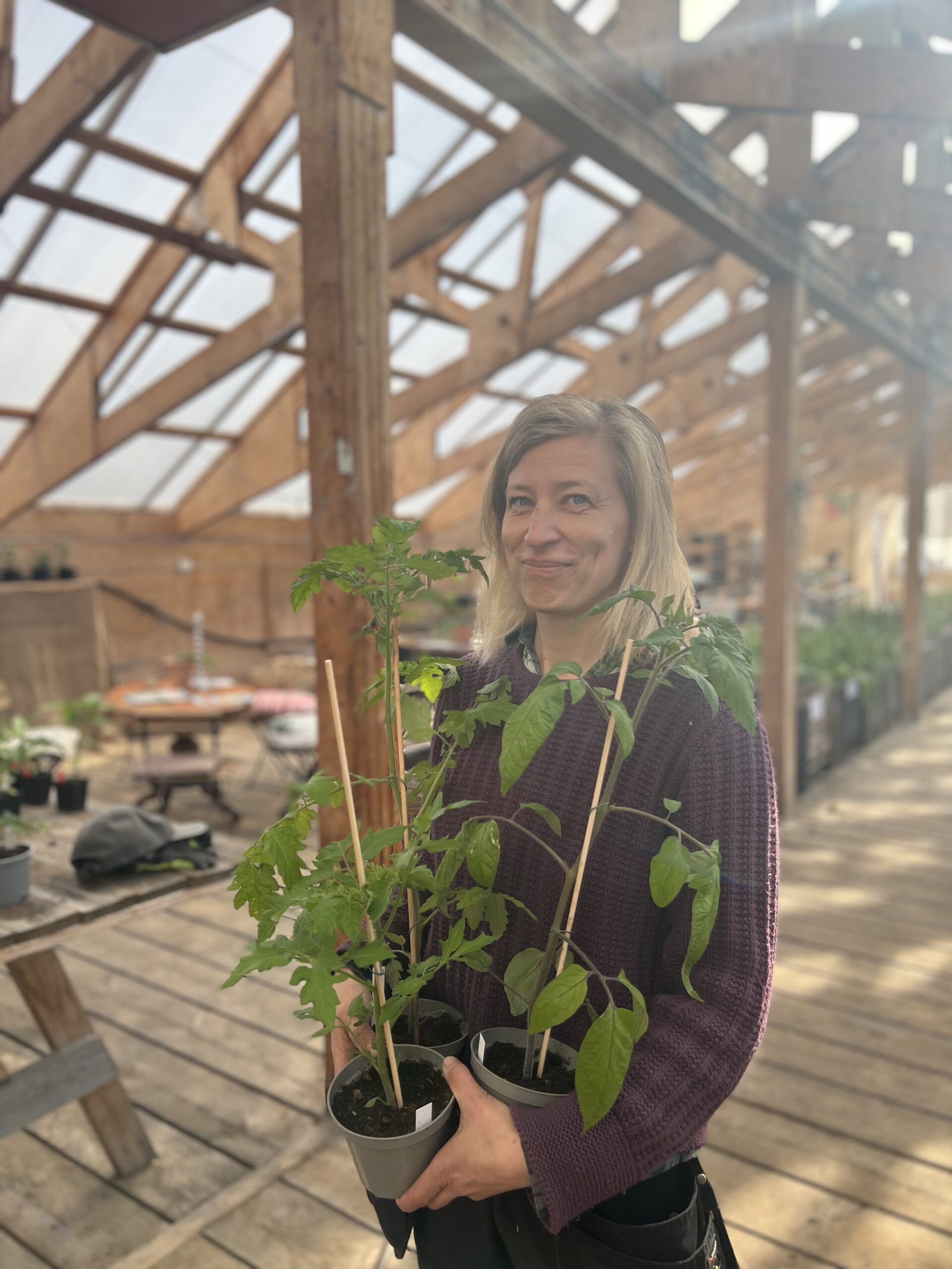 Trädgårdsmästare Elin packar plantor på väg till Stockholm - ETC Solpark