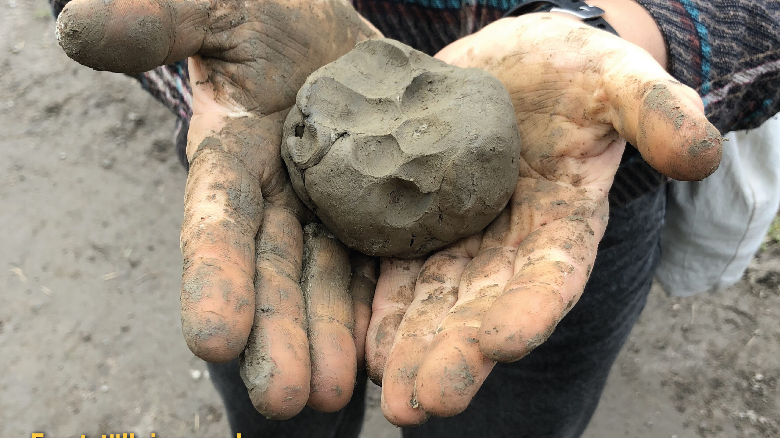 Utställning öppnar: Wild Clay 15/6 - ETC Solpark