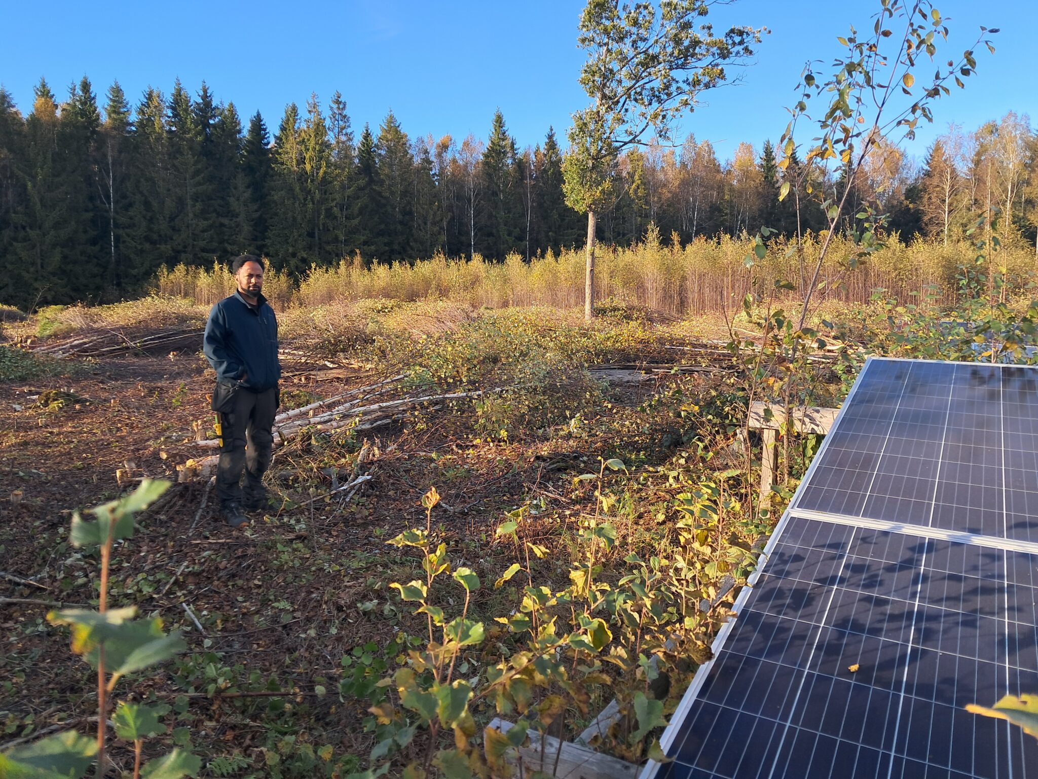 ETC Solpark - Välkommen till ETC Solpark i Katrineholm
